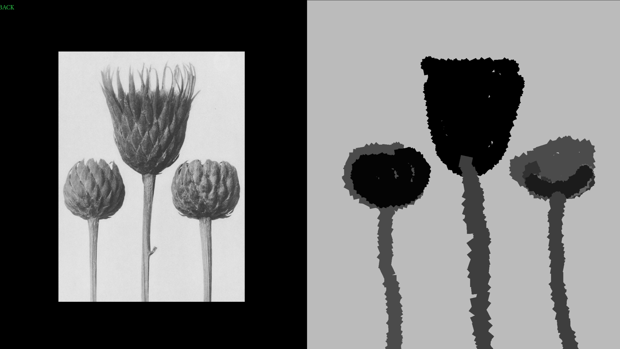 Mirrors • tim rodenbröker creative coding