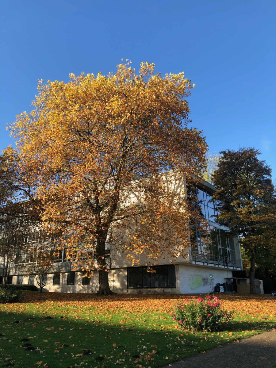 Reflections on my master-studies • tim rodenbröker creative coding